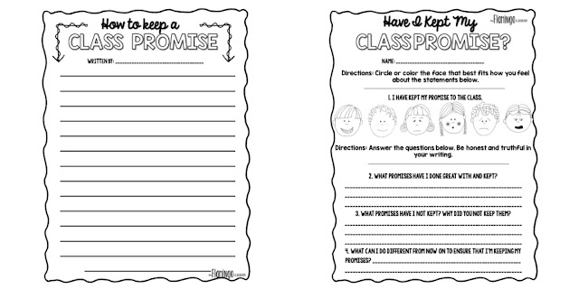 The Flamingo Classroom: Creating a Classroom Promise
