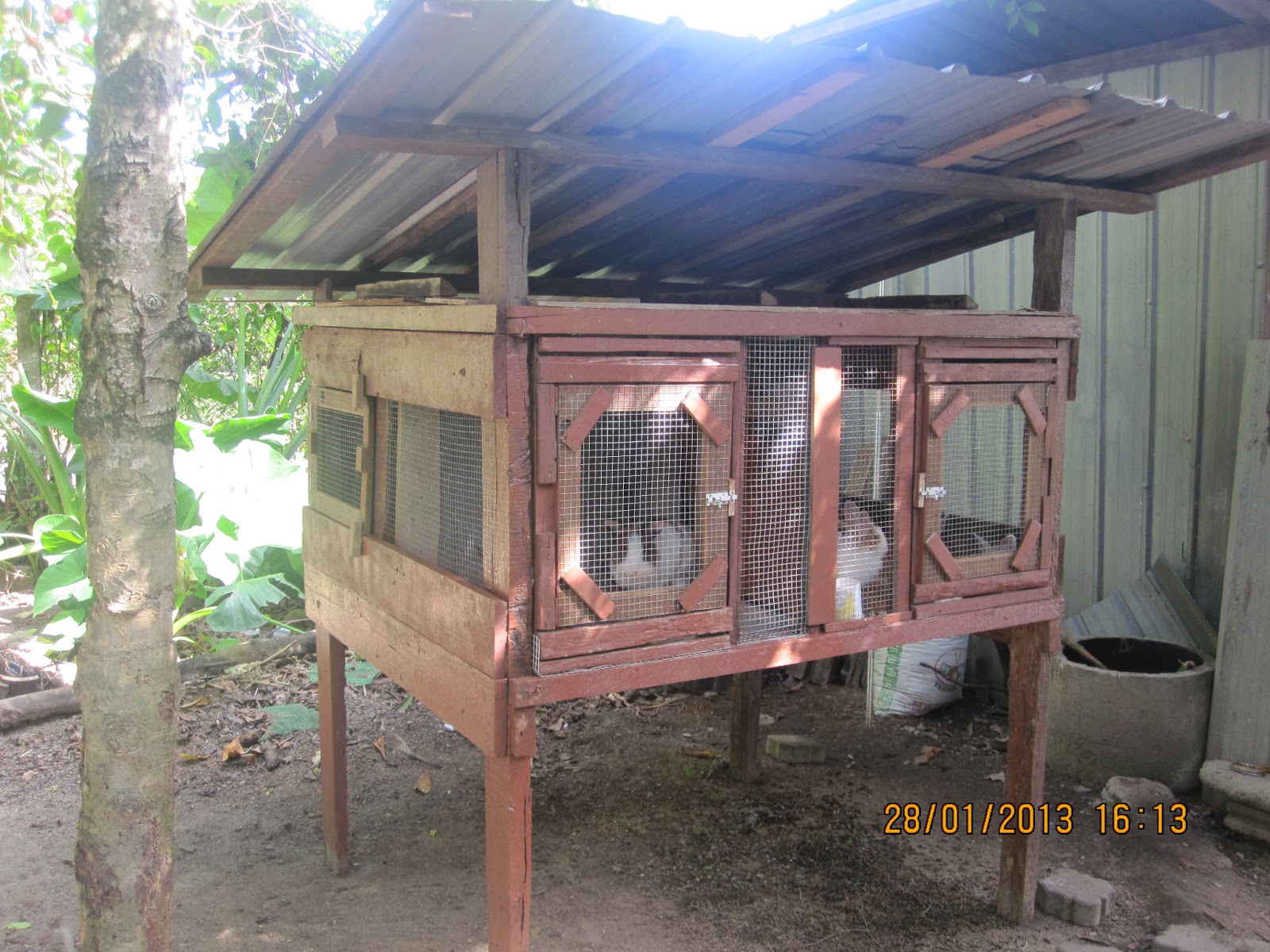 JUAL ARNAB MURAH ONLINE: Sangkar atau Reban arnab