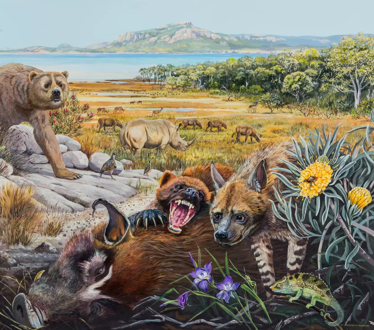 Species New to Science: [PaleoMammalogy • 2020] New Insights Into the ...