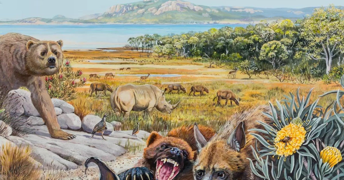 Species New to Science: [PaleoMammalogy • 2020] New Insights Into the ...