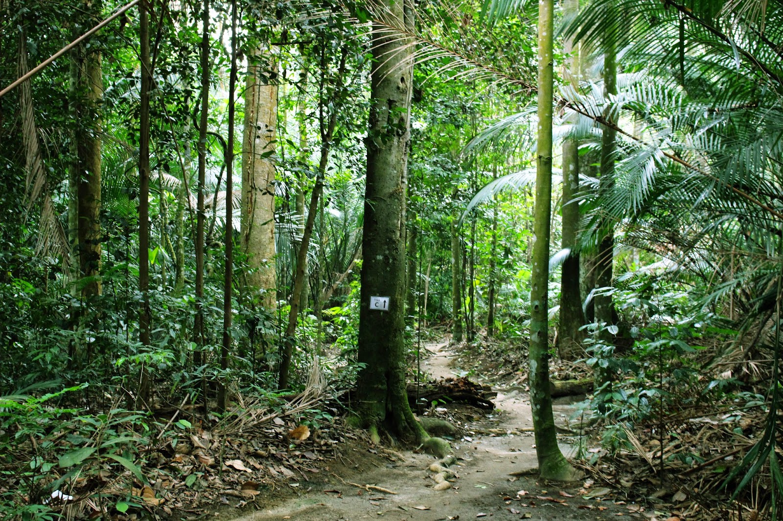 Hello Good Times: Bukit Saga, Ampang