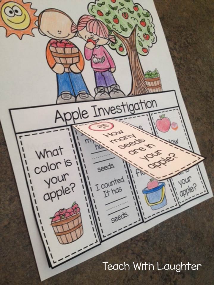 Teach With Laughter: Apple and Pumpkin Investigations