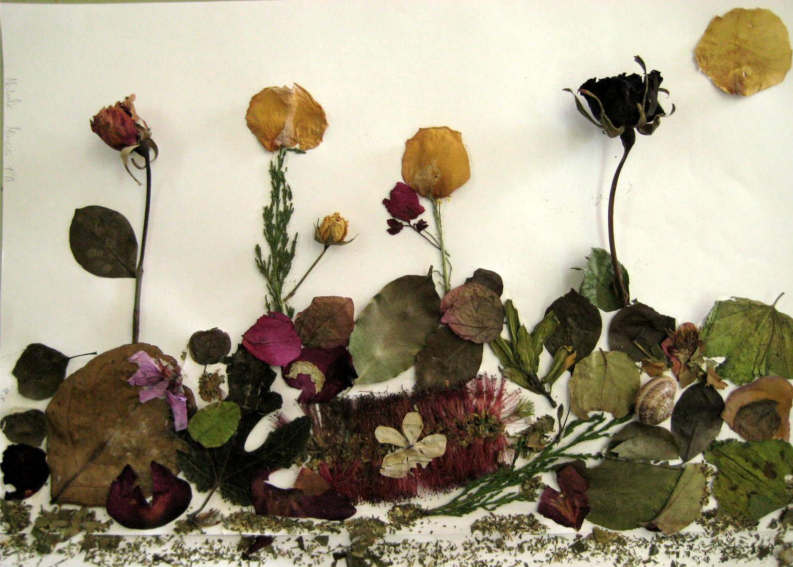 Azul turquesa bitácora de Teresa: Collages de texturas visuales con 1ºESO.