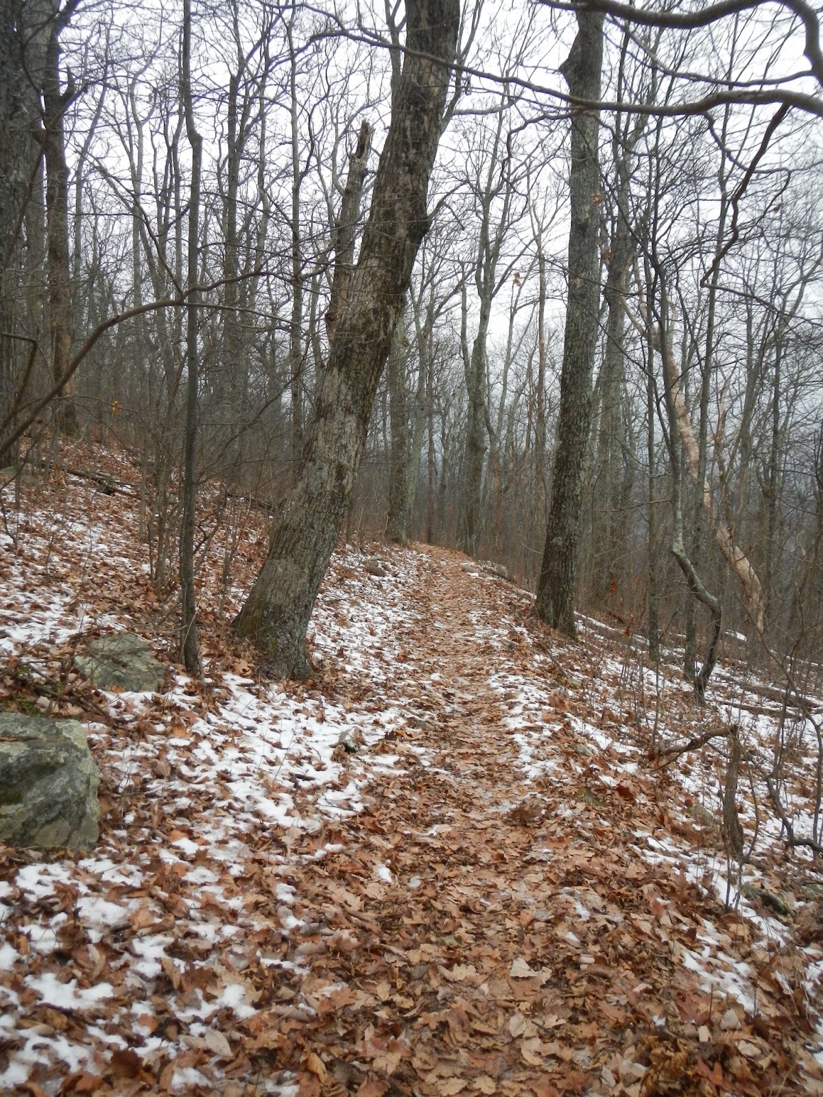 Oh To Be Hiking!: Rockfish Gap to McCormick Gap - The SNP 500