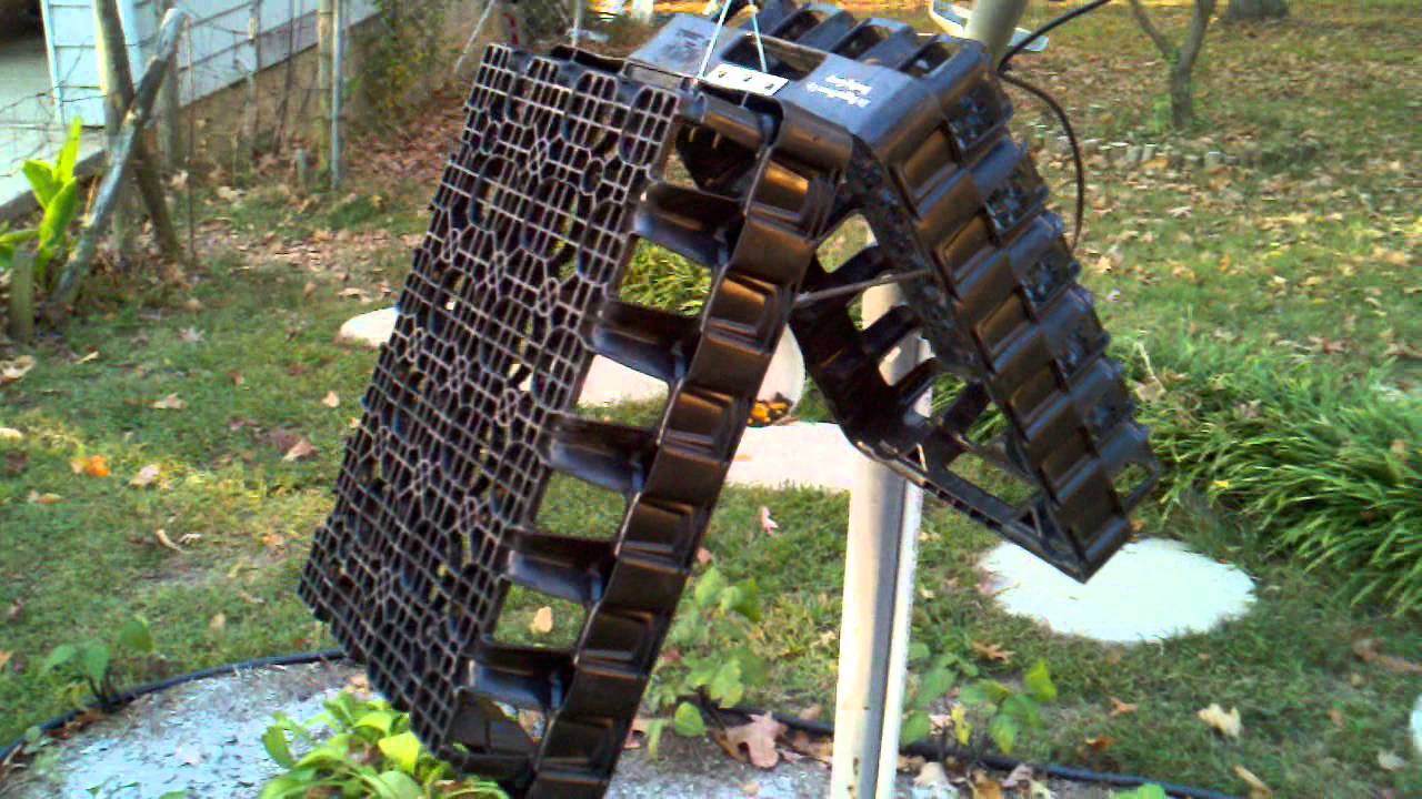 Bird In Everything Simple Bird Trap Bird In Everything Simple Bird Trap