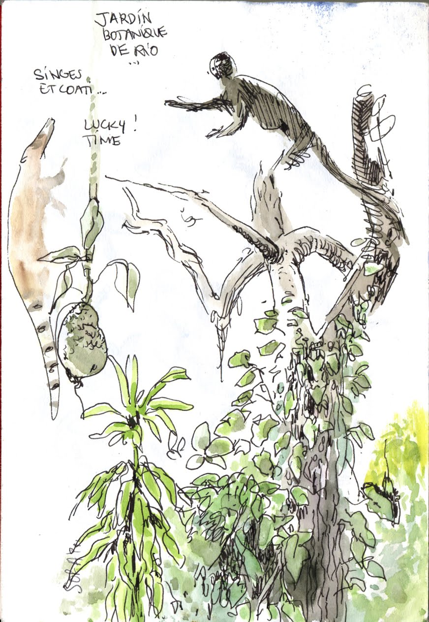 dessins d'olivier martin: FLUPP 2012 / Rio de Janeiro