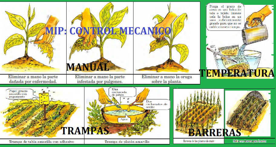 ORGANICO: MIP .- CONTROL CULTURAL