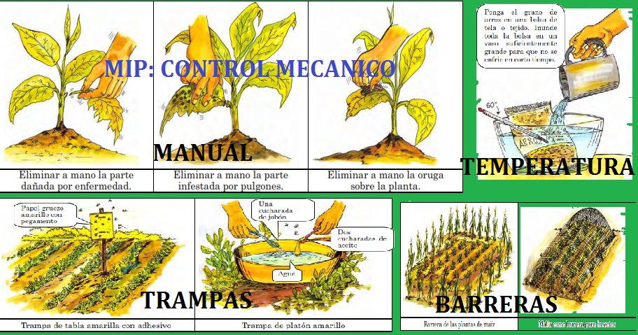 ORGANICO: MIP .- CONTROL CULTURAL