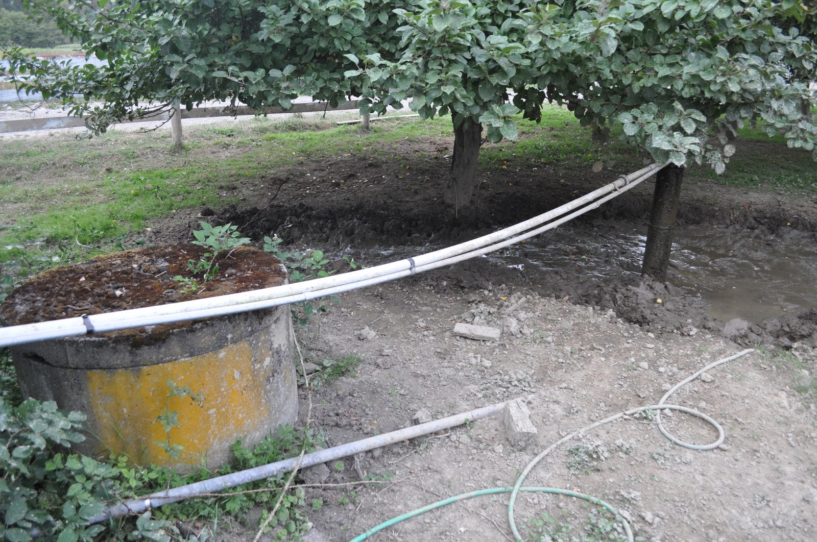 meat: Well, well, well!