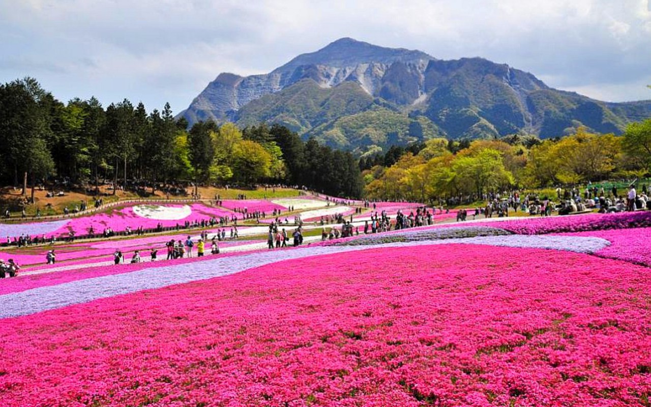 Primavara la Munte ~ Peisaje de Iarna