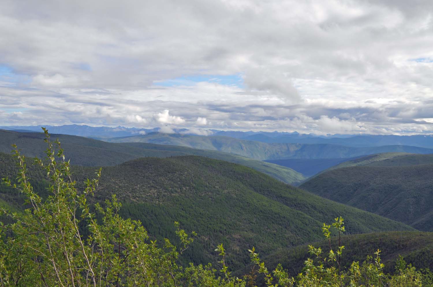 On_a_Lark: June 15, 2012 – Tok RV Village, Tok, Alaska