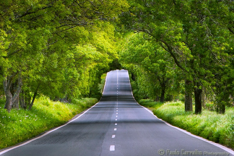 As Verdades: DEUS Connosco na Estrada da Vida