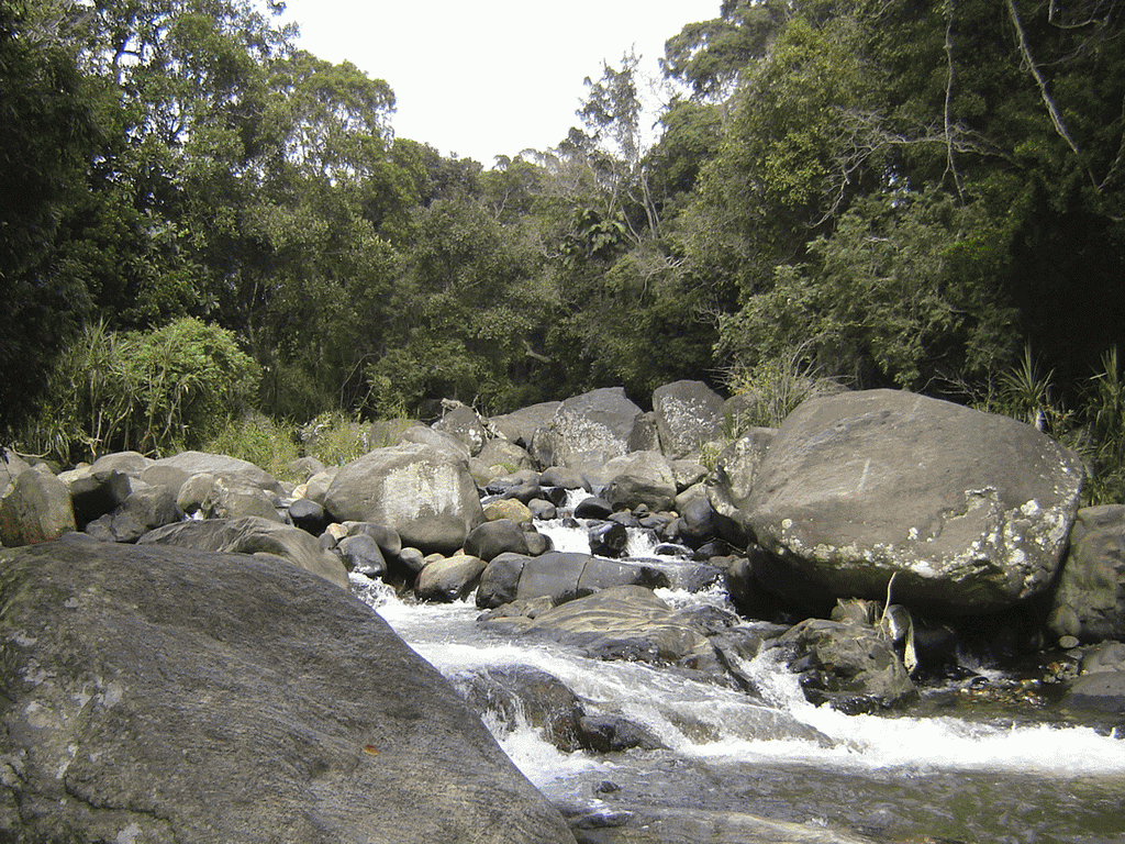 Sri Lanka - Nature: Belihul Oya