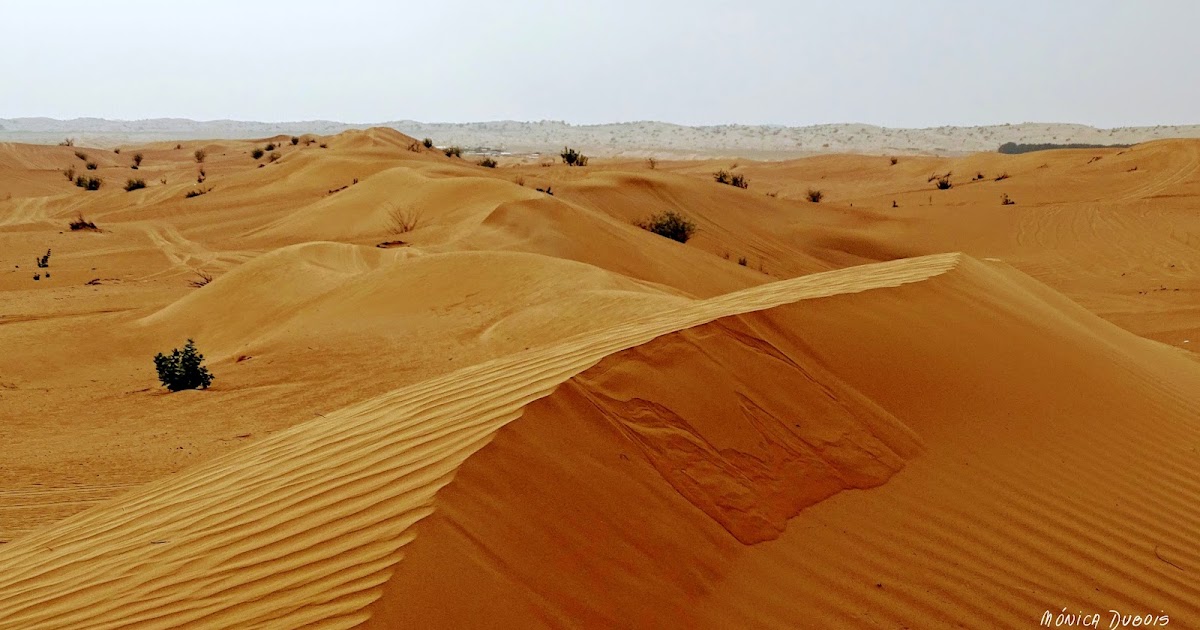 Atrapados por la Imagen: Duna