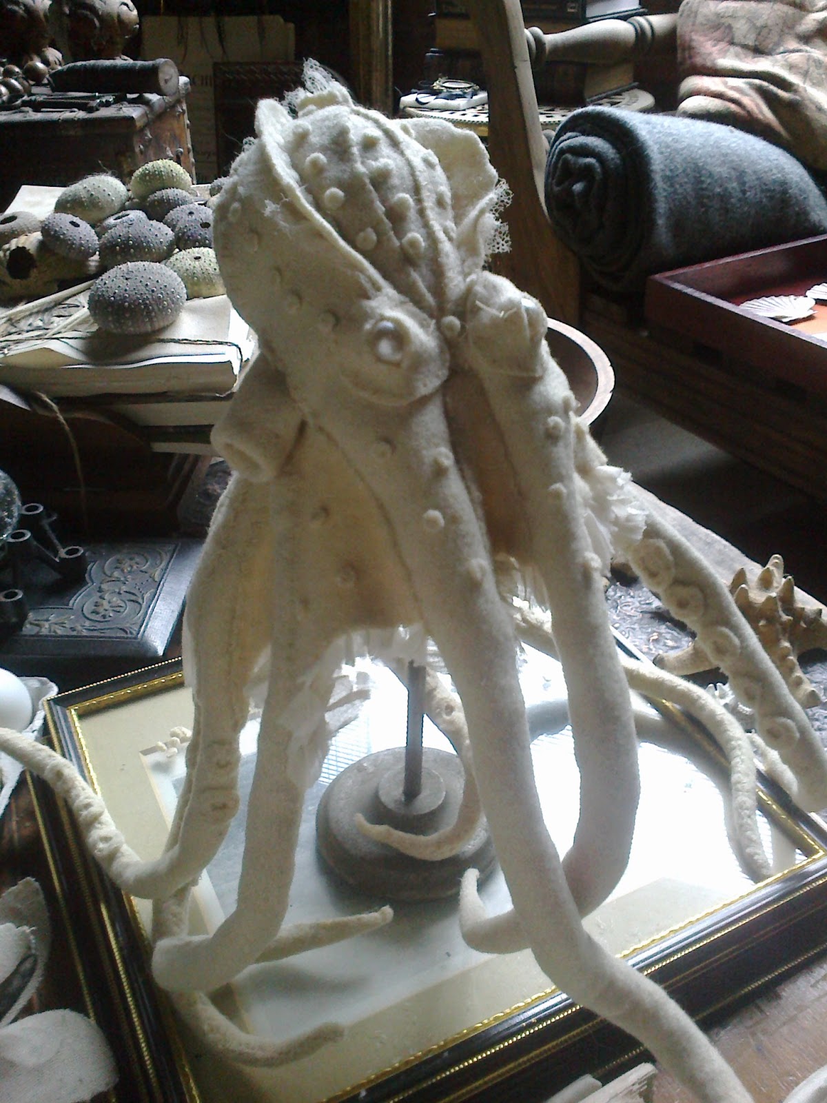 ANNO DOMINI HOME: OCTOPUS SPECIMEN