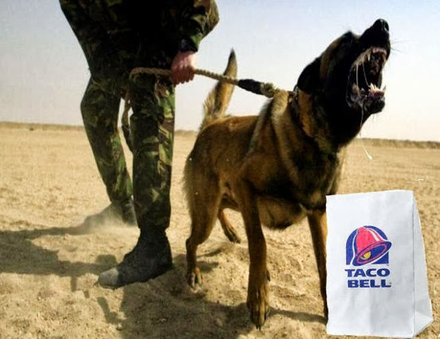 K9 Unit Attacks Increase Among Latinos and Blacks, Police Tell Critics ...