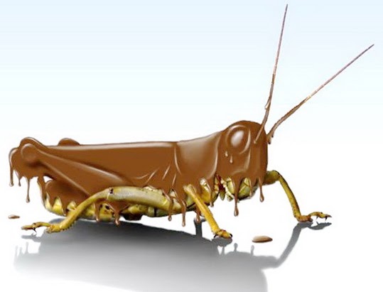 greieri de vanzare: Greieri mici și greieri mari