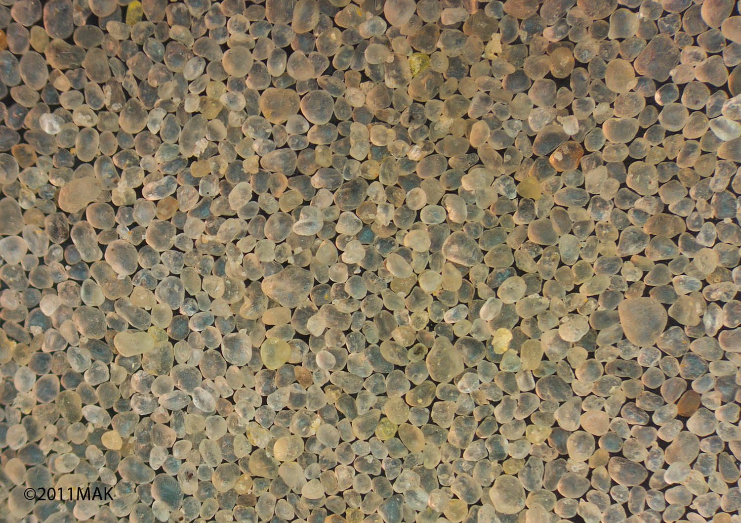 Research at a snail's pace: Geology Photos, Day 3 - Quartz Arenite