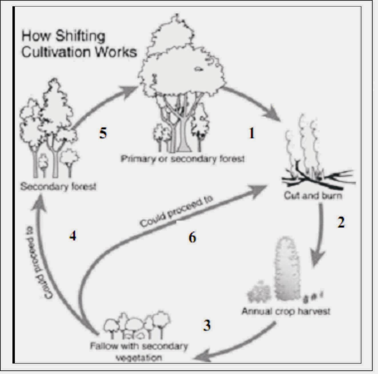 Makalah Ladang Berpindah - Gusri Randa Guru Geografi