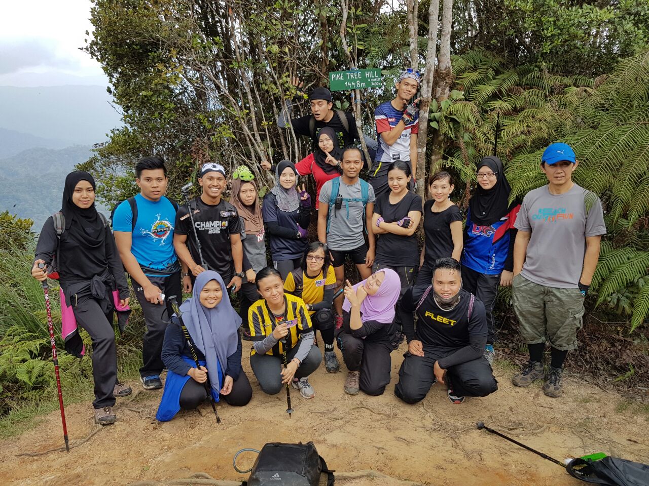 Pengalaman Mendaki Pine Tree Hill dan Twin Peak