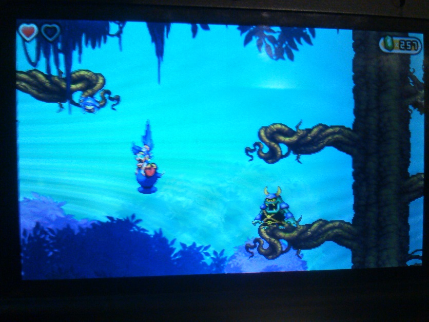 Game Guide- Shantae and the Pirate's Curse: (SCUTTLE TOWN) Shantae and ...