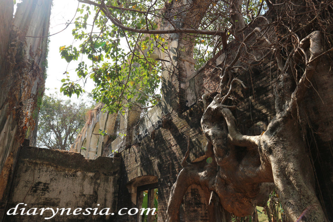 Best Tourist Attractions in Ngawi