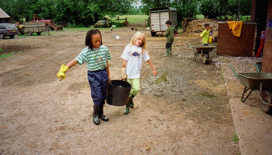 Holiday Cottages in the West Country: Farms For City Children - a week ...