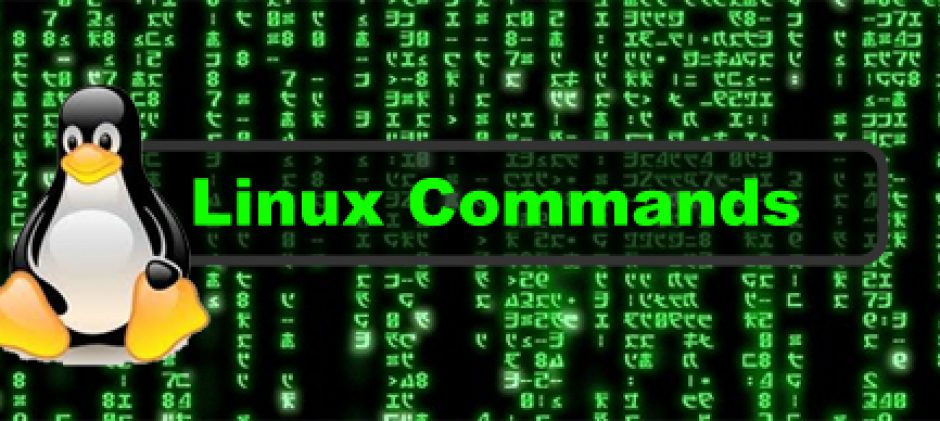 Date Command In Unix And Linux Examples Lpi Central