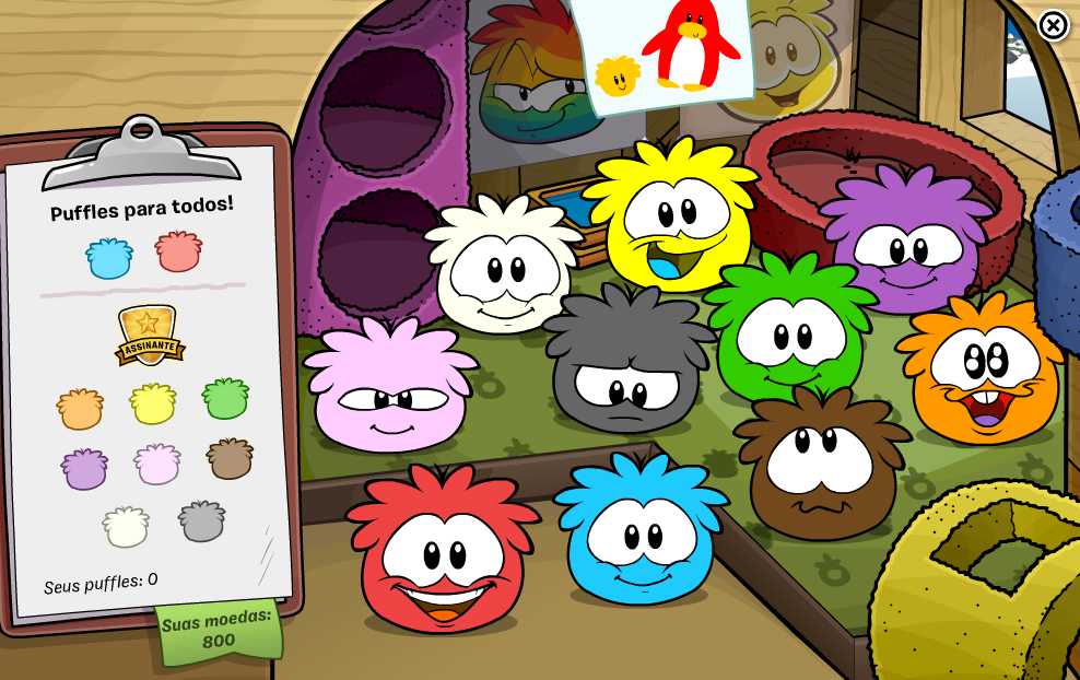 Club Penguin Notices: Como cuidar de Puffles