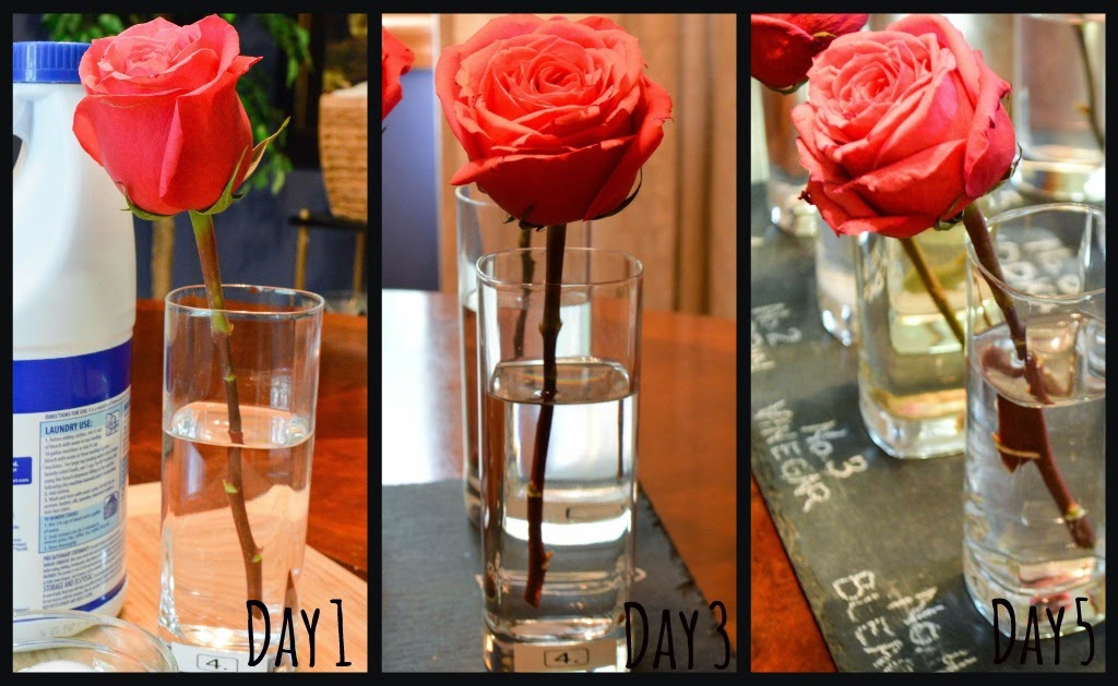 Entertaining Grace: Flower Power: Testing 8 Common Methods for Making ...