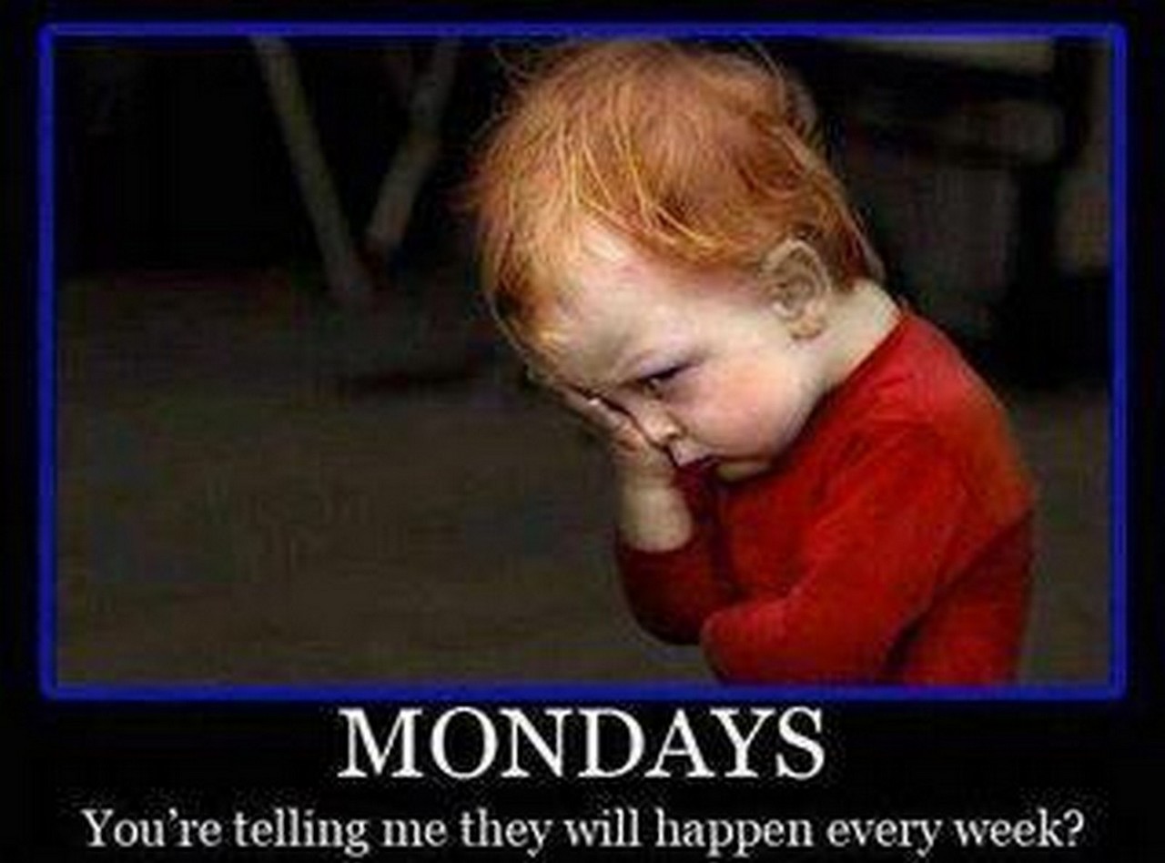 Chuck's Fun Page 2: So, that's how Monday feels - 17 images