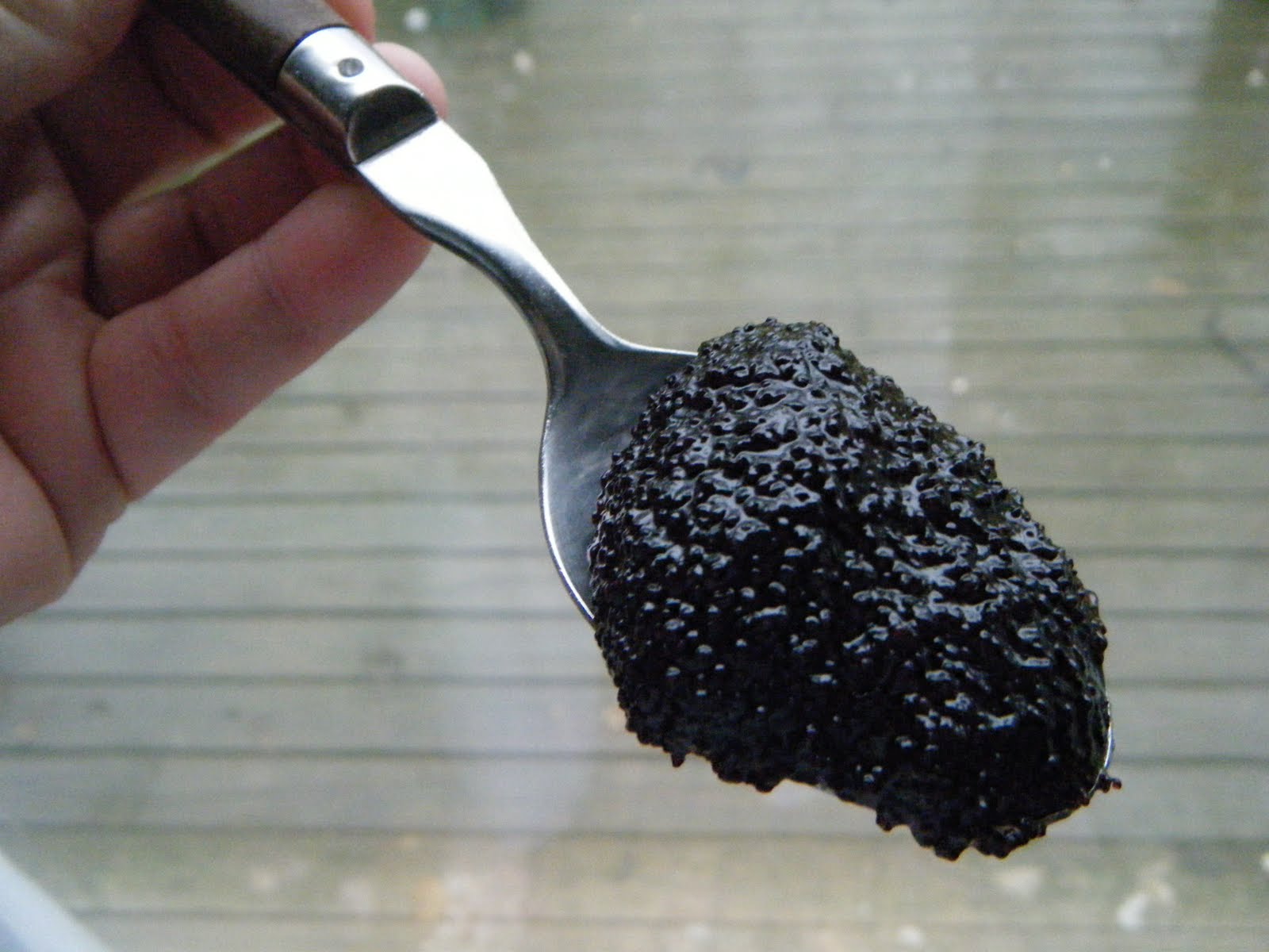 What About Pie: Poppy Seed Cake, a family tradition