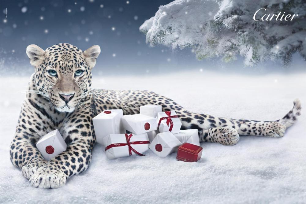 Smartologie: Cartier 'Winter Tale' Holiday Campaign 2011