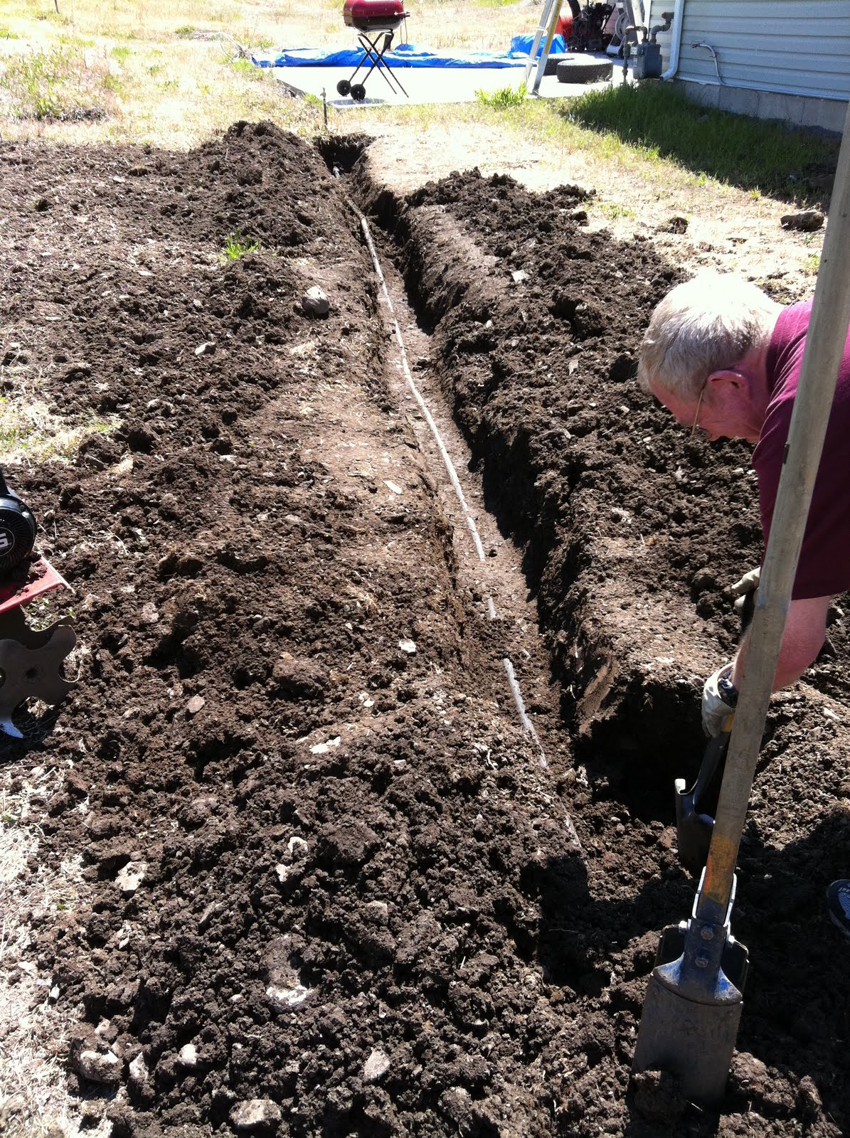 One day at a time.: Digging trenches and planting trees.