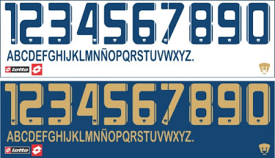 Pumas 2008 2009 tipografía