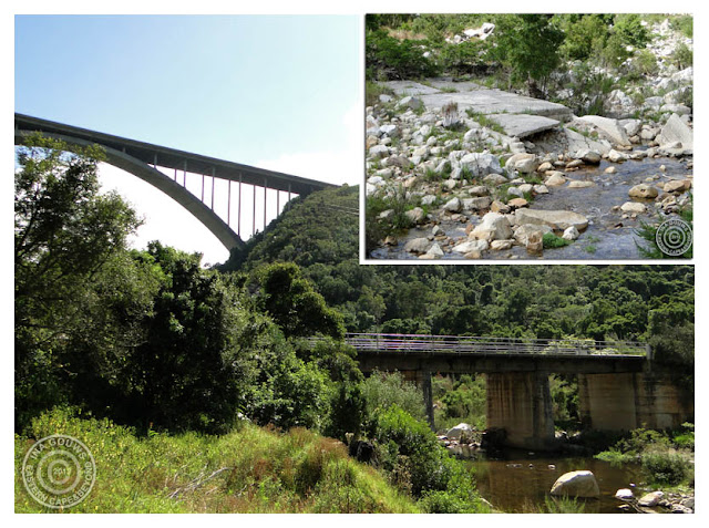 Eastern Cape & Beyond: Van Stadens Bridge