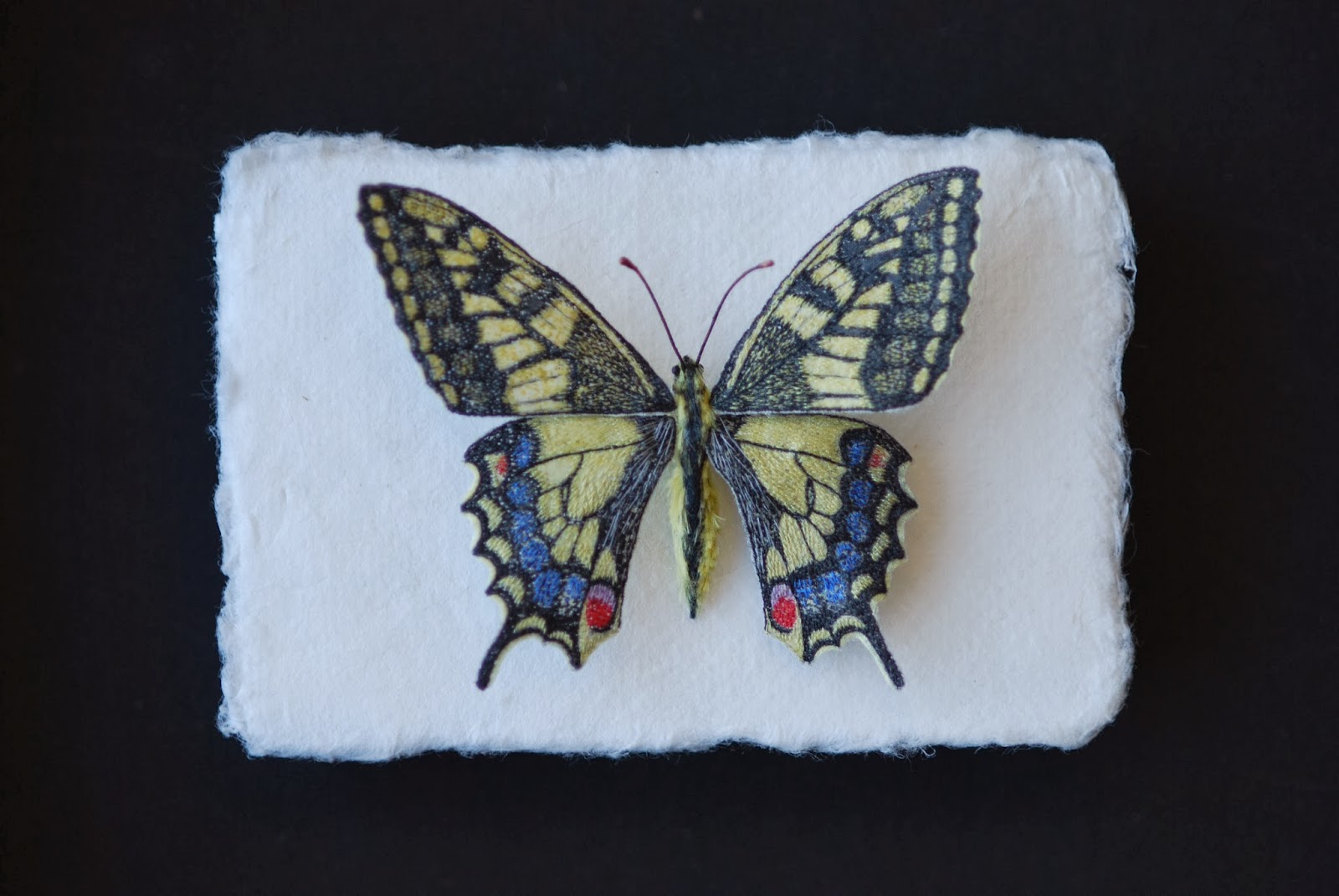 Cloth of Nature ~ Jane E.Hall, Artist