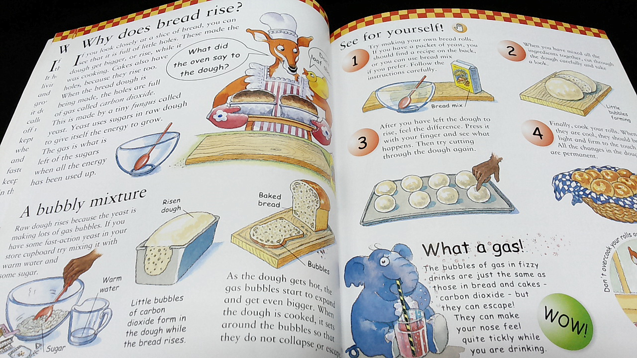 Kid Books Blog: 114.At Home with Science / Germs Make me sick