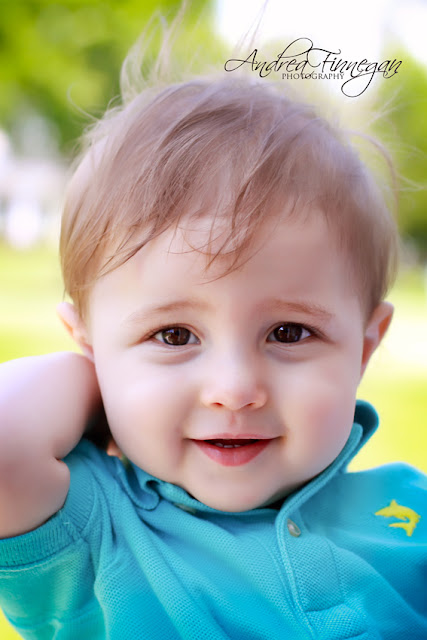 Andrea Finnegan Photography