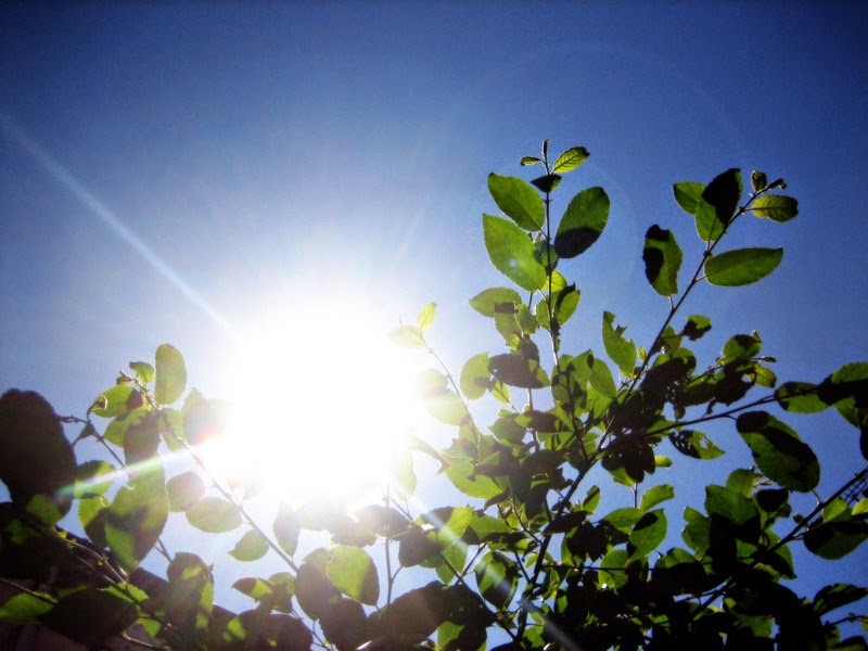 Tips Menjaga Kesehatan Di Musim Panas ~ SevenStrand