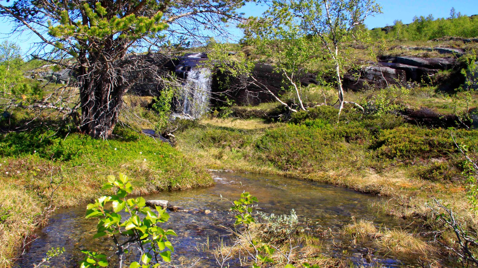 Fjellgruvestien på Lesjaskog