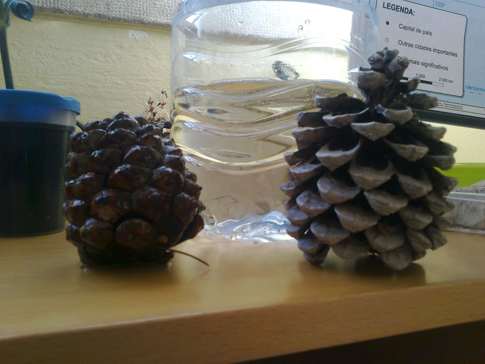 Estamos sempre a Aprender: Experiência: O que acontece se metermos uma ...