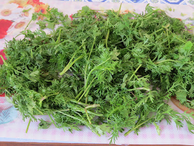 With Love from Mom's Kitchen: How to Increase The Shelf Life Of Fresh ...