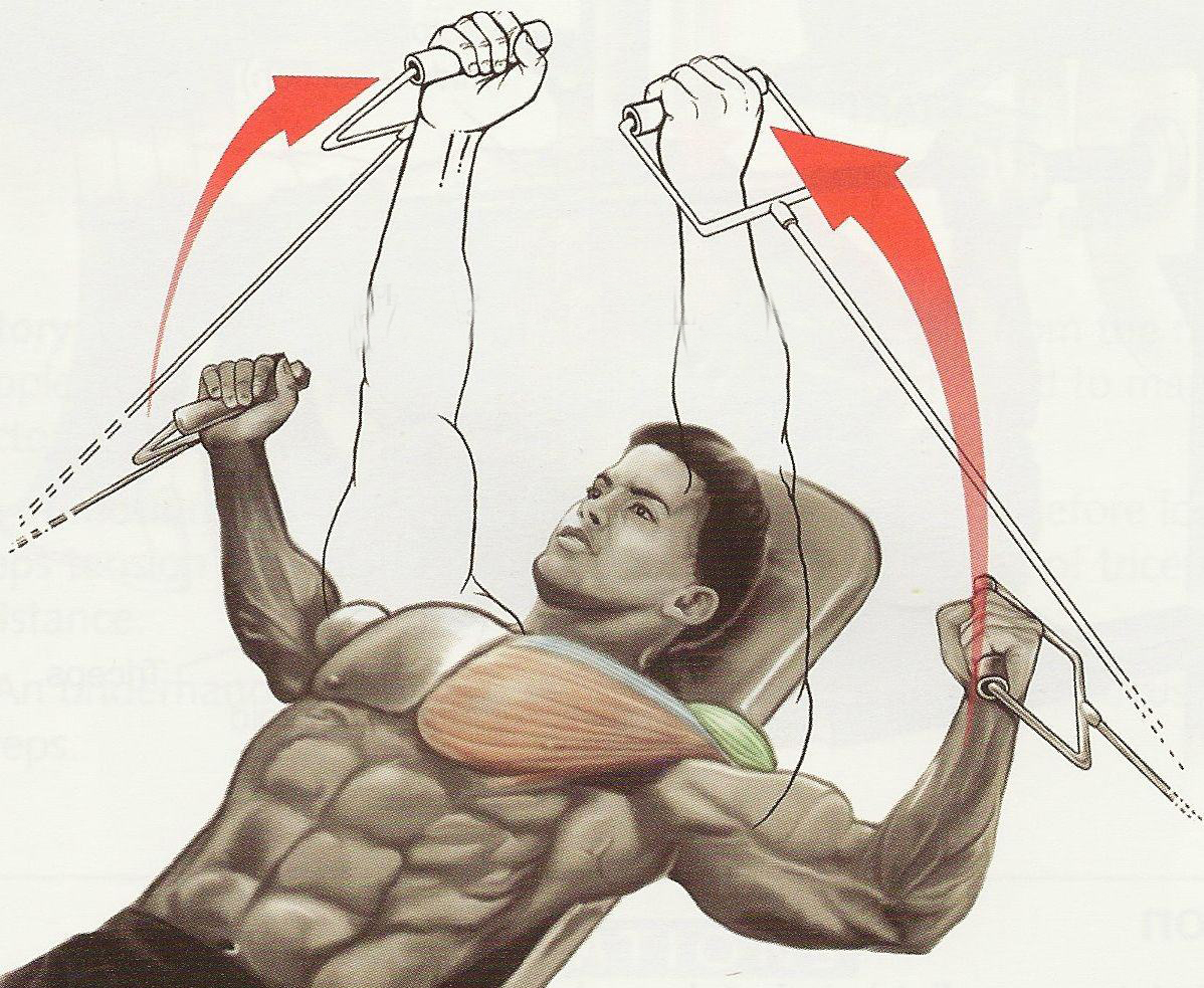 Chest Workout Tips And Exercise Bodybuilding And Fitness Zone