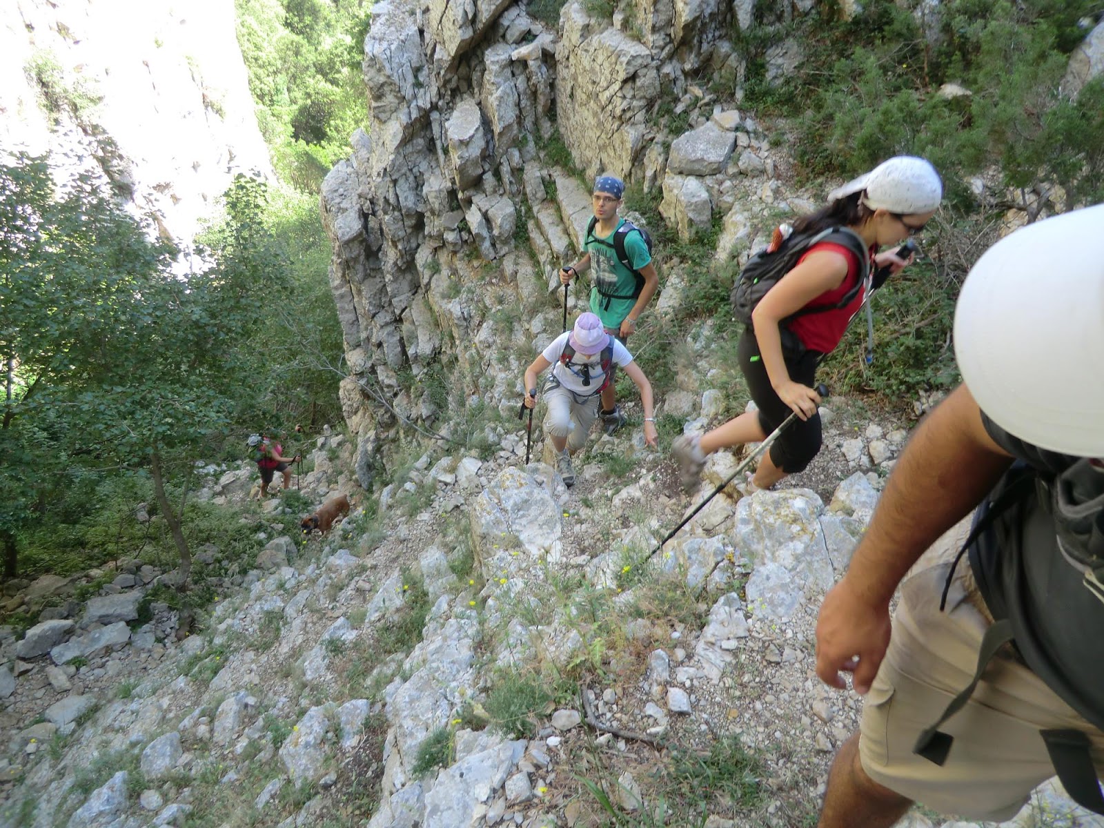 ELS PERDUTS: RUTA POR LA SERRA DE LLABERIA, CAMÍ DE LA FORESTAL Y ...