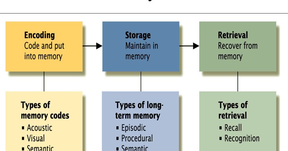 Adam's blog: Topic 5:MEMORY,LEARNING AND IMPROVING CONCENTRATION