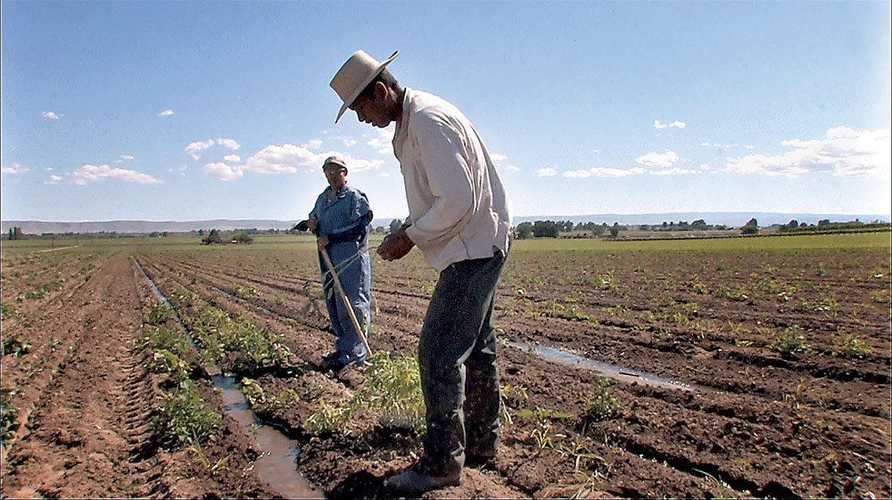 el granjero y sus tres hijos