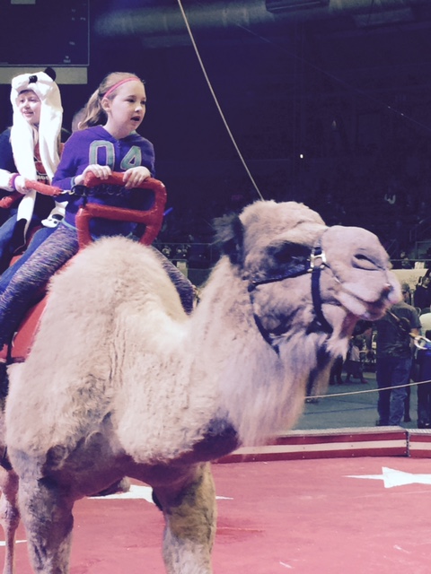 Heroes, Heroines, and History: Circus Grave Yard--a final tribute