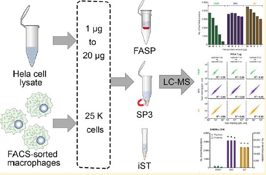 News in Proteomics Research: What is the best digestion method for ...