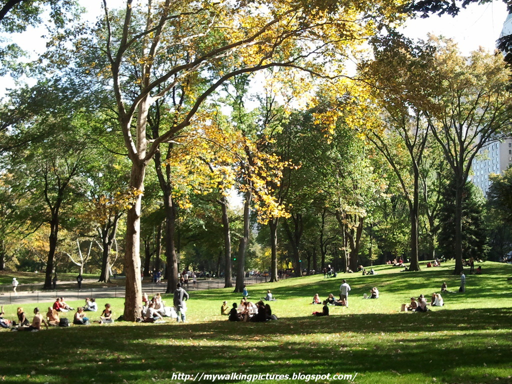 My Walking Pictures: Autumn in Central Park